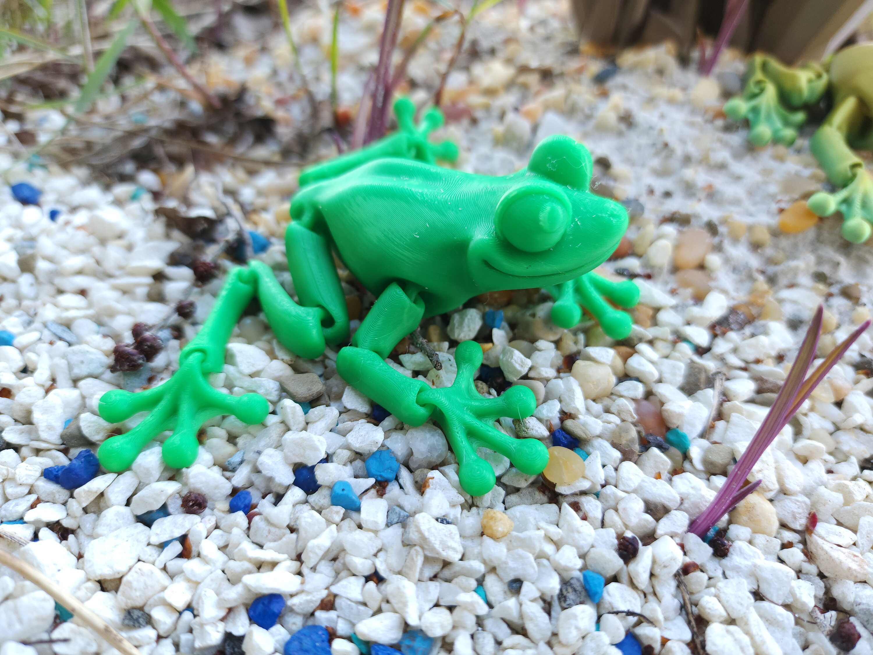 Flexi Frog 3d Printed Amphibian Articulated Frogs Fidget - Etsy