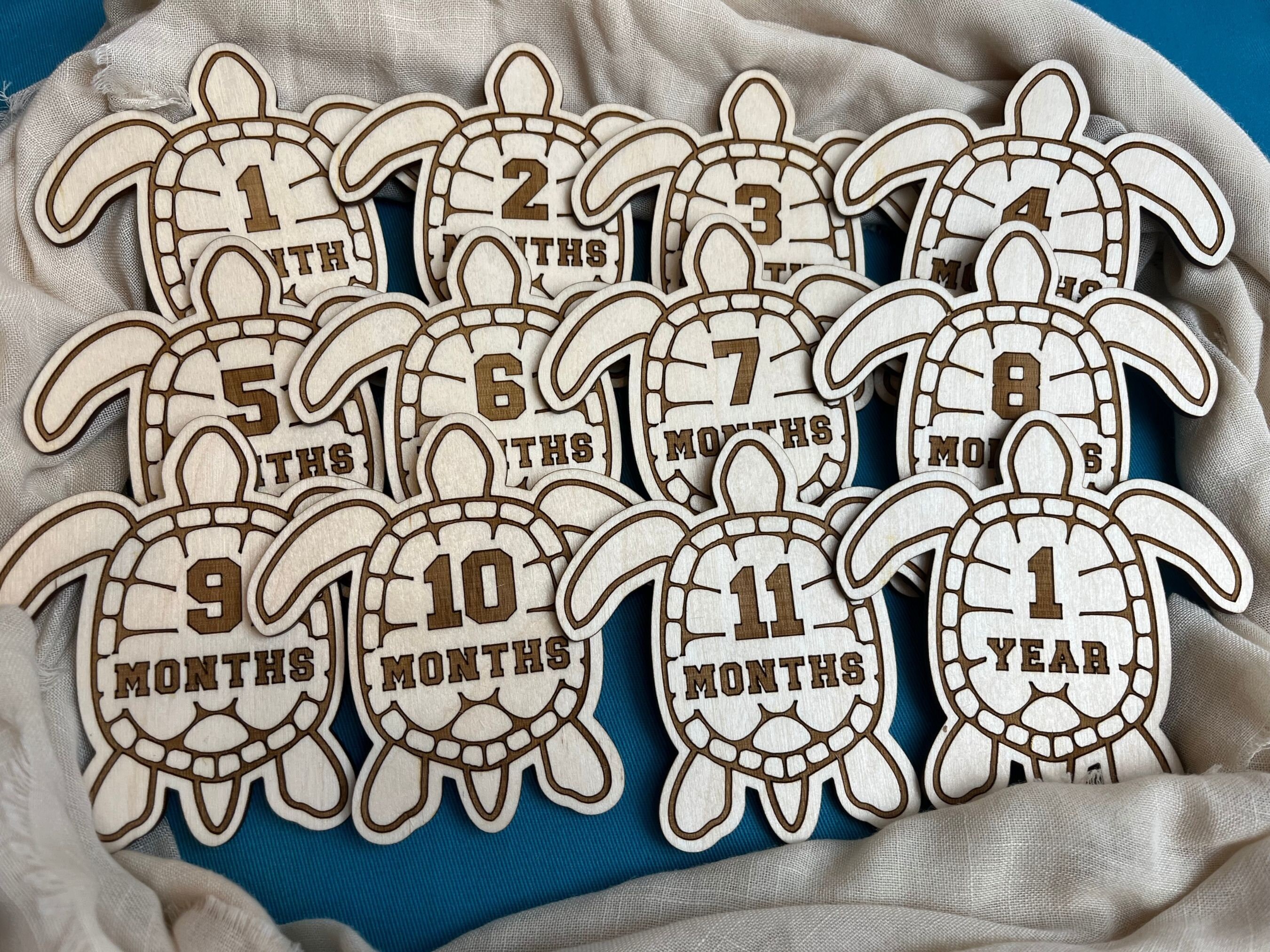 Turtle Theme Monthly Milestone Markers - Capture Your Baby's First Year ...