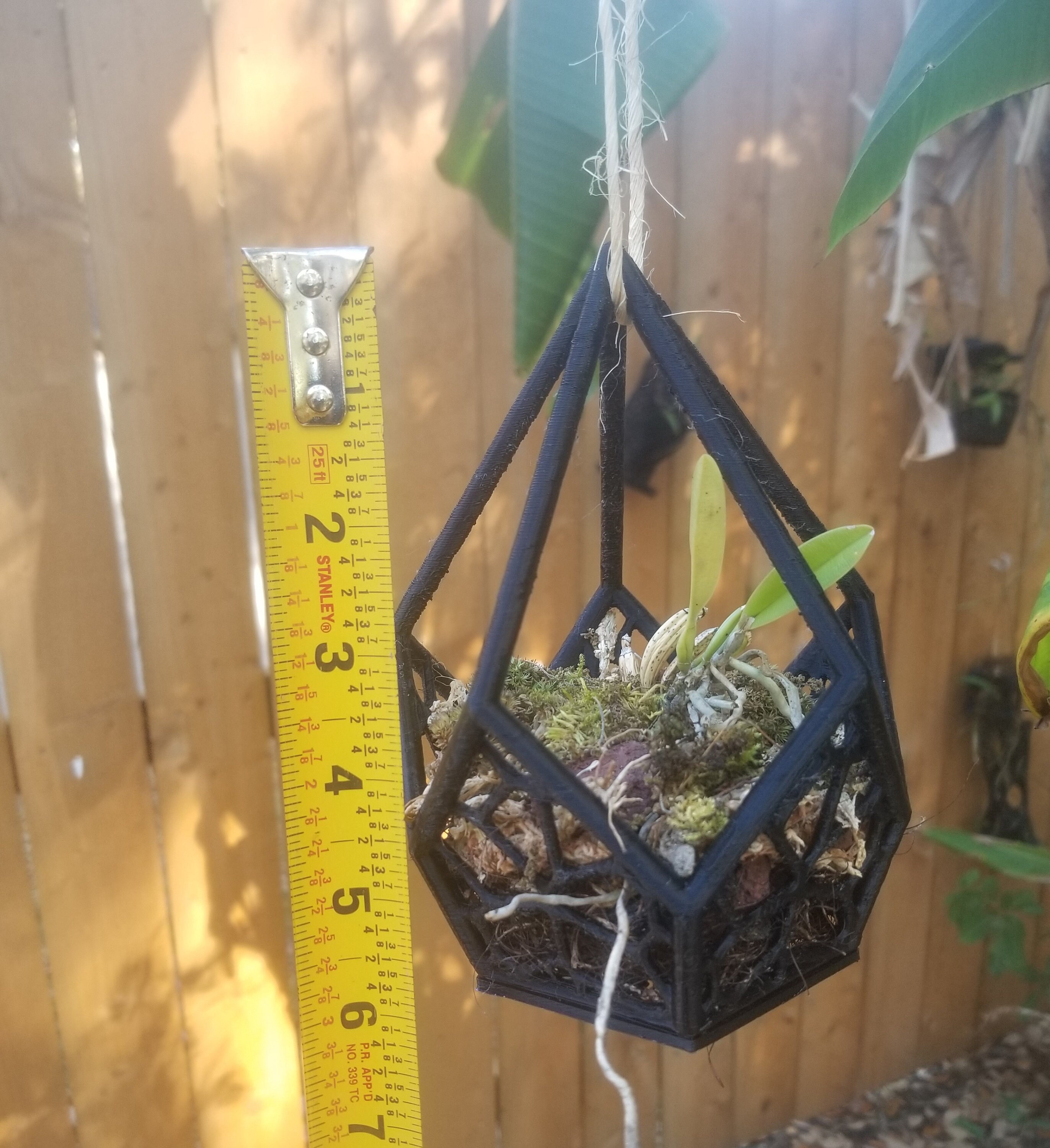 Geometric Orchid Planter Geo Planter Pentaverse - Etsy