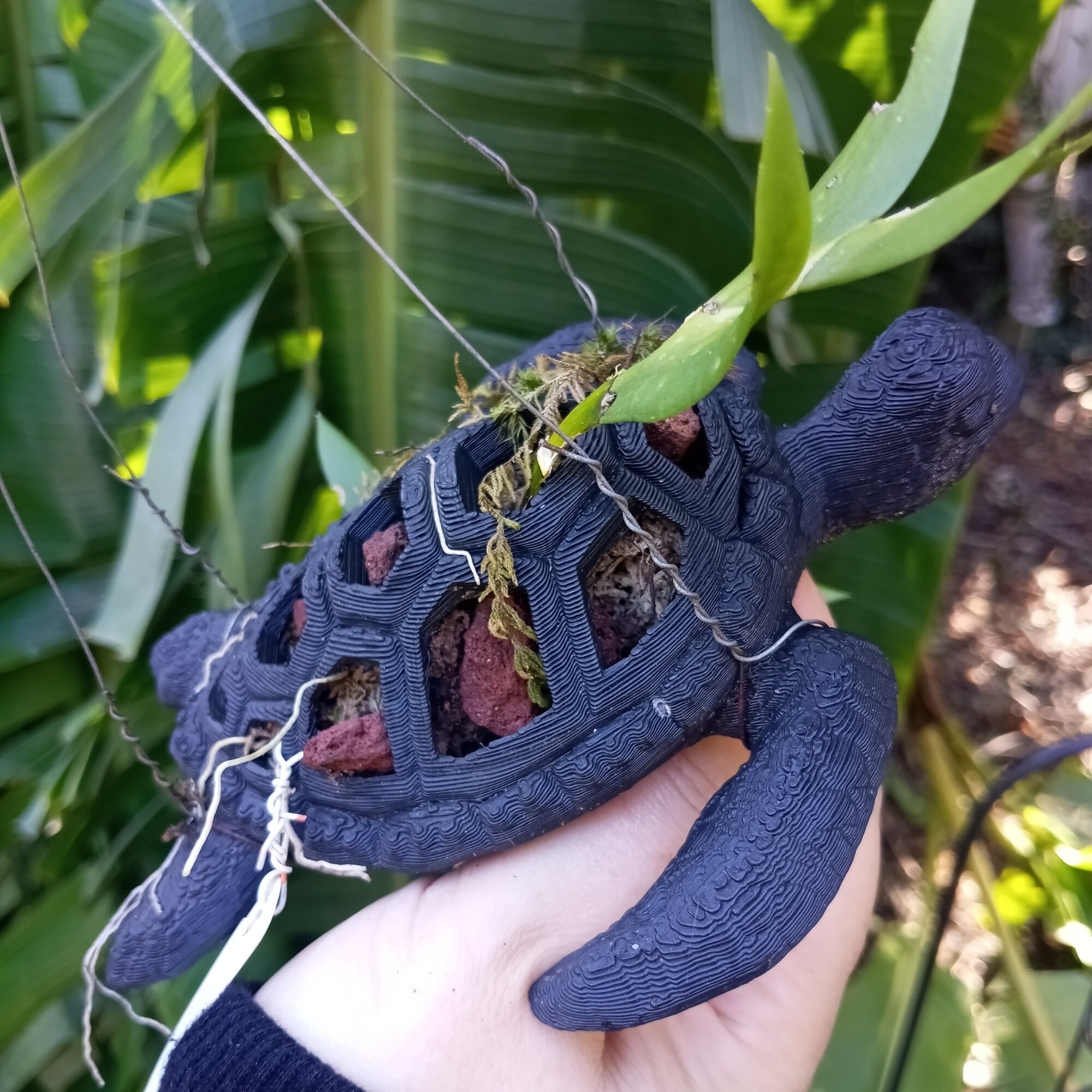 Small Sea Turtle Planter - Etsy