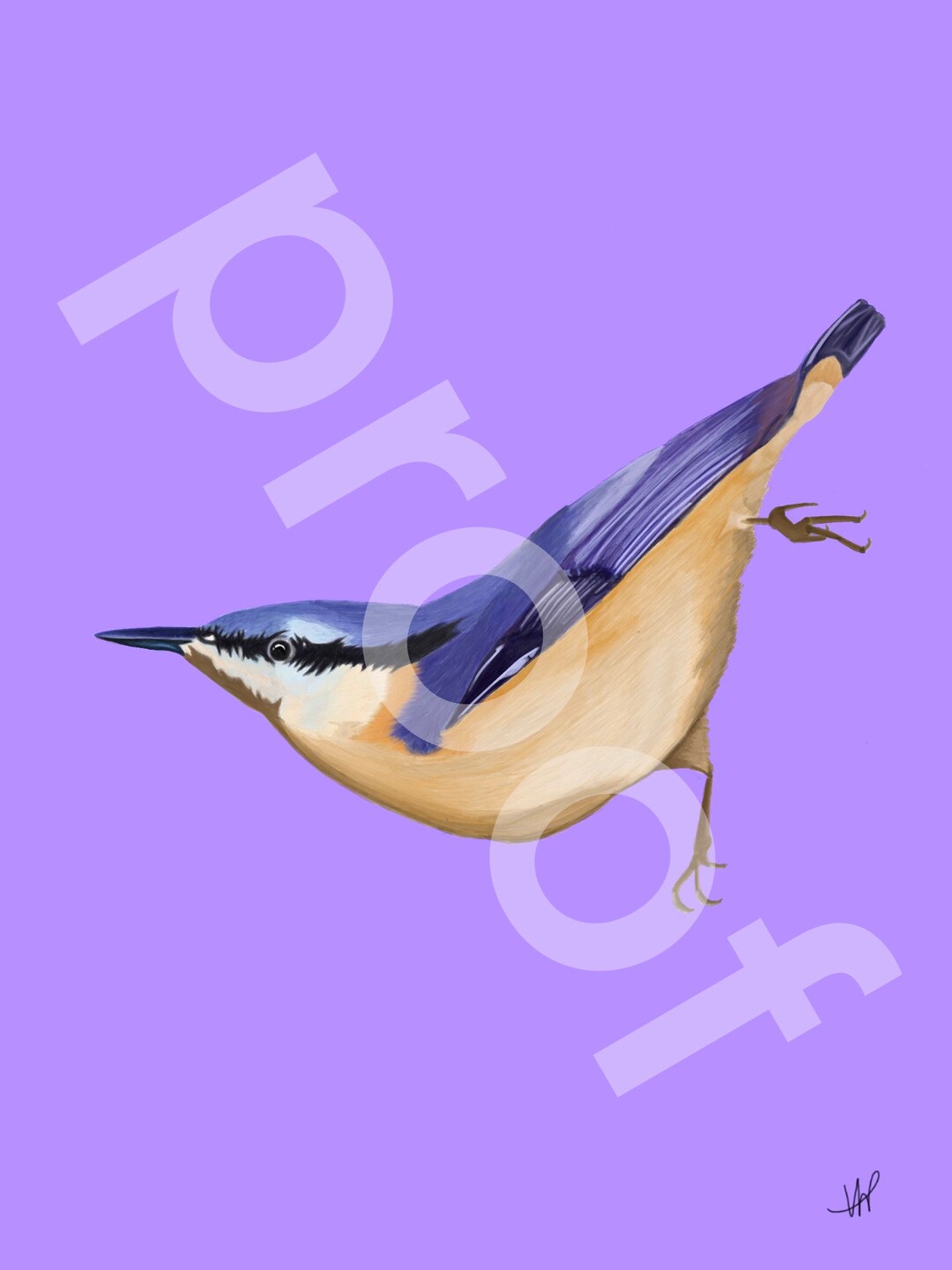 Nuthatch Fine Art Bird Print - Etsy