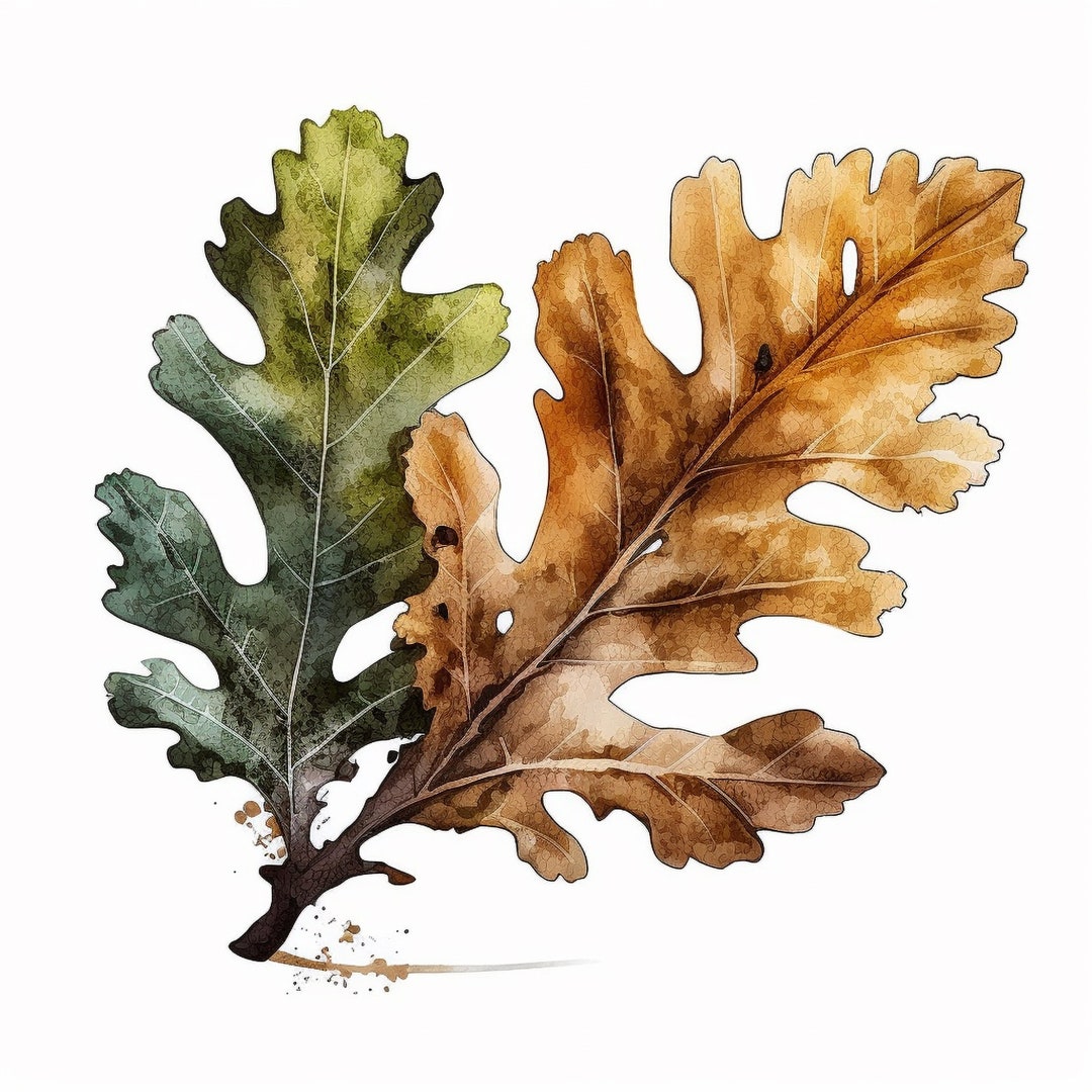 Digital Watercolor Oak Leaf Prints Digital Print, Instant Download ...