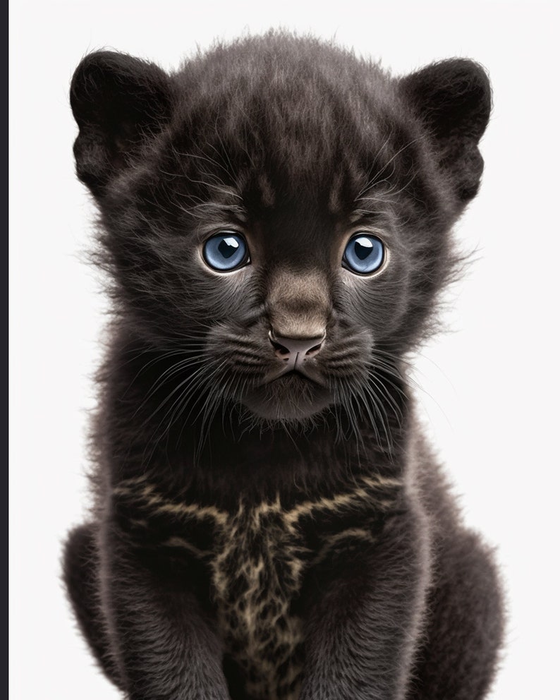 Black Panther Cub Digital Prints, Digital Print, Instant Download ...