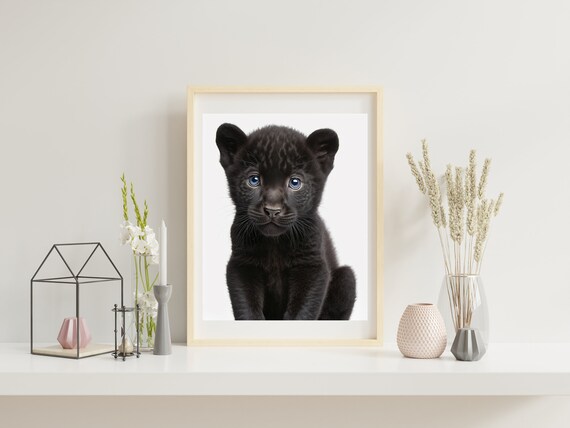 Black Panther Cub Wallpaper
