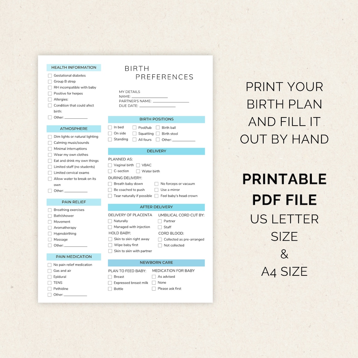 Editable Birth Plan Template For Canva Printable Birthing Plan Blue