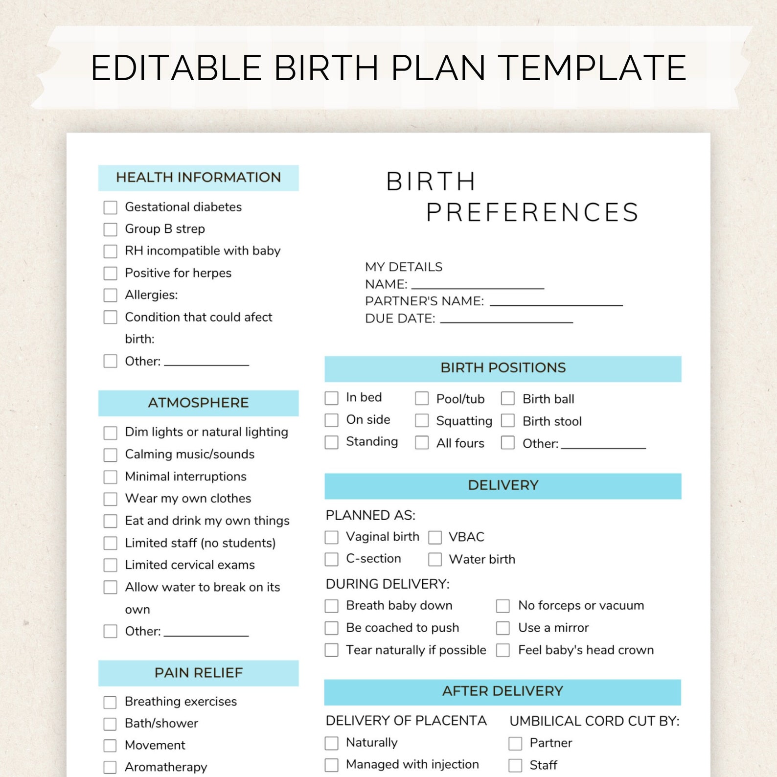 Editable Birth Plan Template for Canva | Printable Birthing Plan | Blue ...