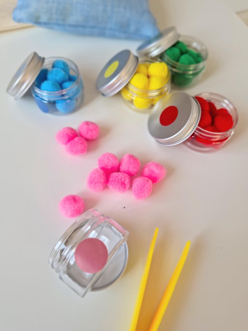 Montessori Pompom Sorting Game: Color Matching & Fine Motor Toy - Etsy
