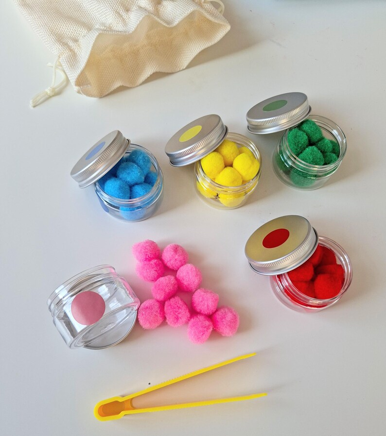 Montessori Pompom Sorting Game: Color Matching & Fine Motor Toy - Etsy