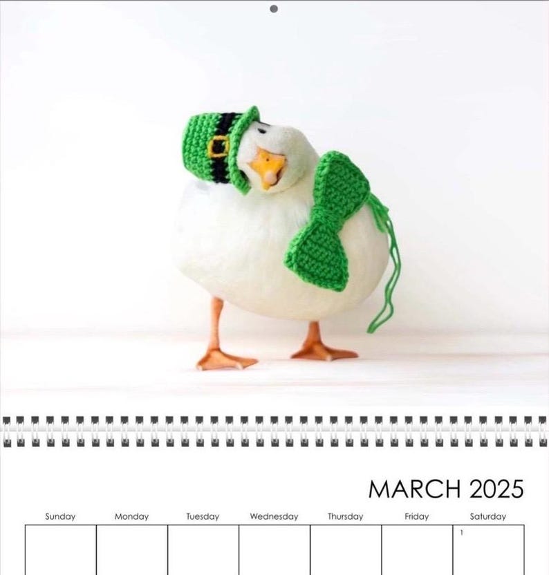 2025 Duck Calendar - Etsy
