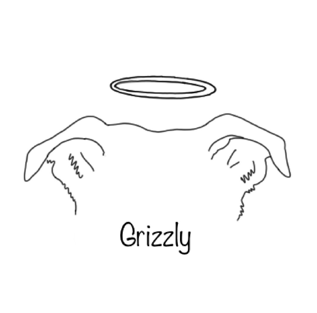 Pet Ear Outlines! - Etsy