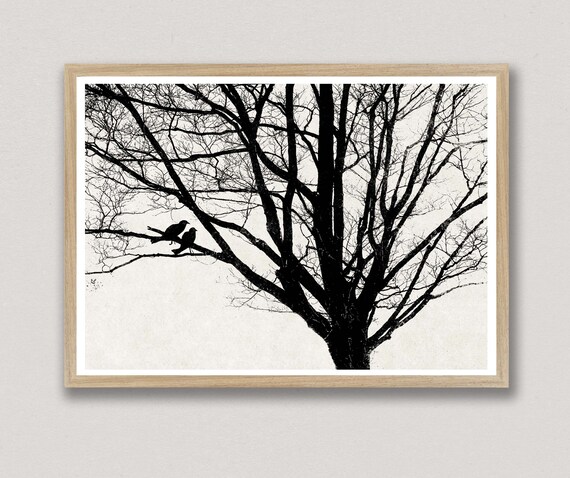Black And White Tree Art With Birds