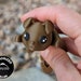 Baby Dog by Zou3d - Etsy