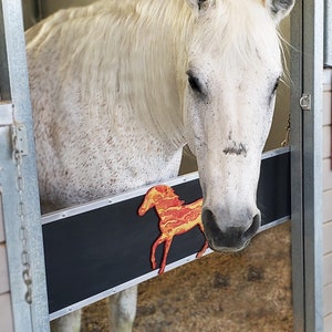 Horse Stall Guard - No Permanent Hardware for Metal Stalls - Sturdy ...