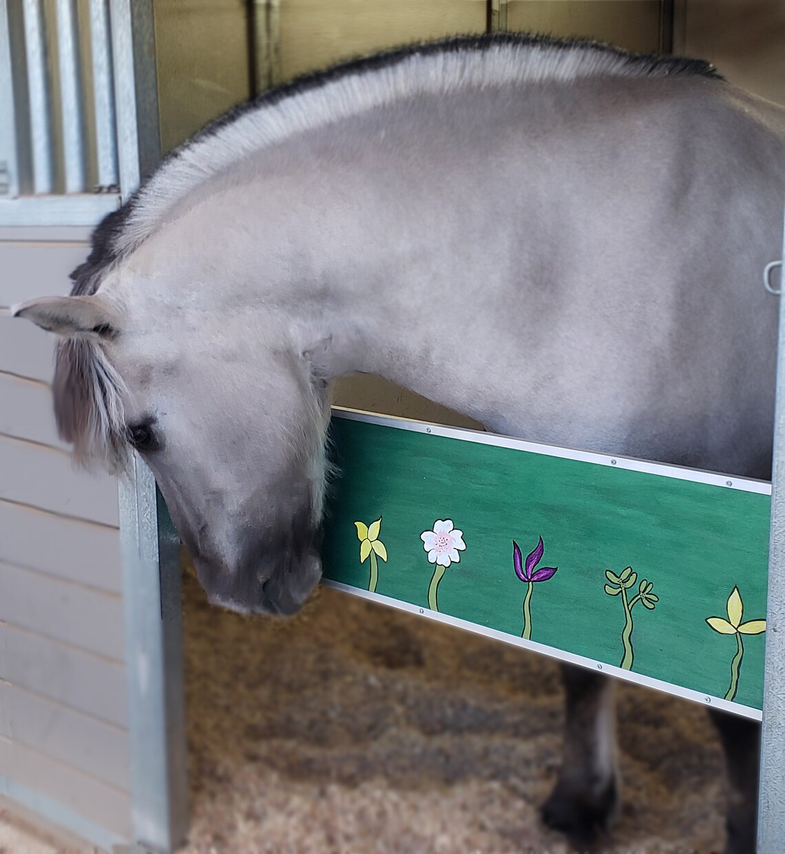 Horse Stall Guard No Permanent Hardware for Metal Stalls Sturdy Wood ...