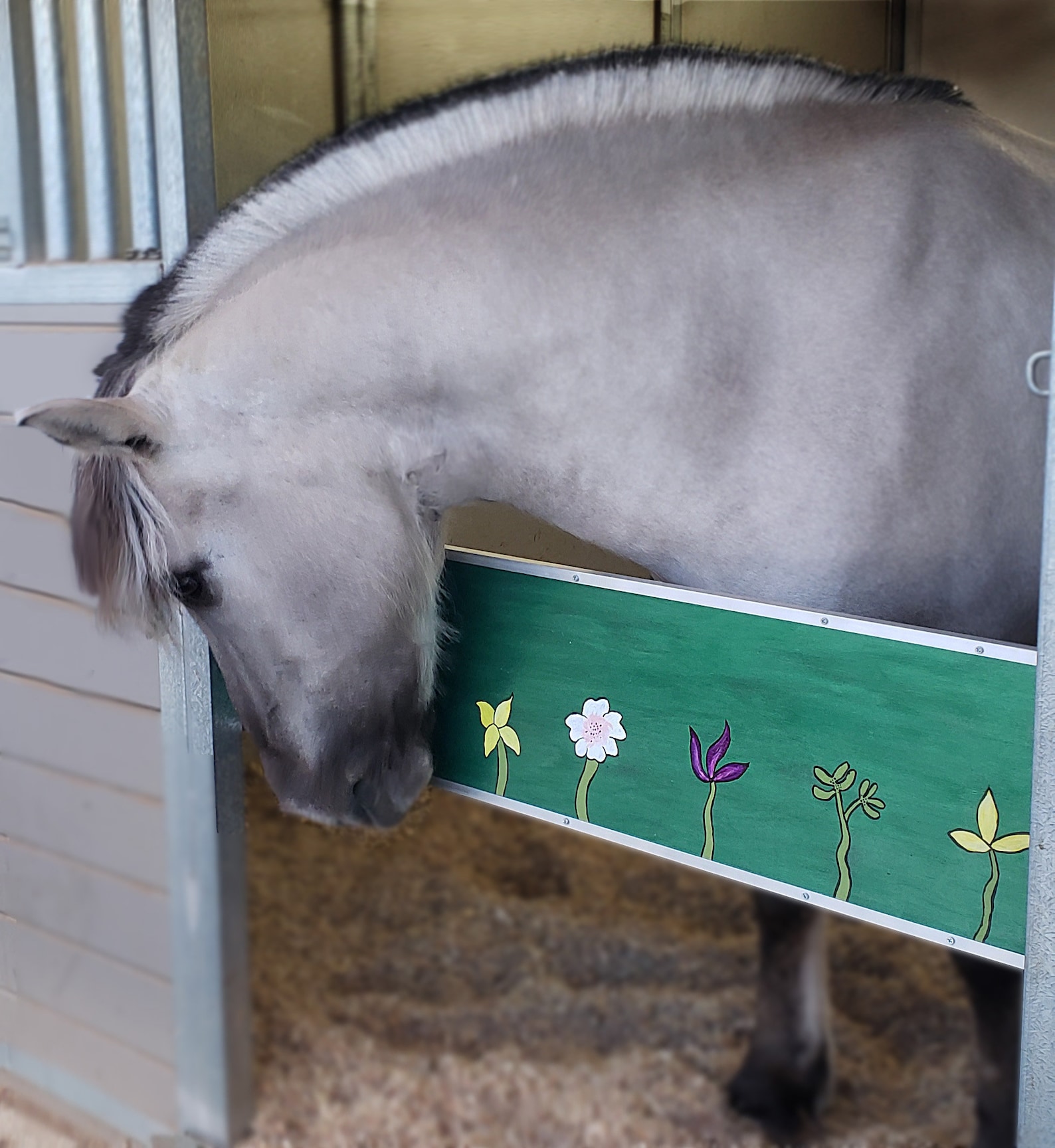 Horse Stall Guard No Permanent Hardware for Metal Stalls Sturdy Wood ...