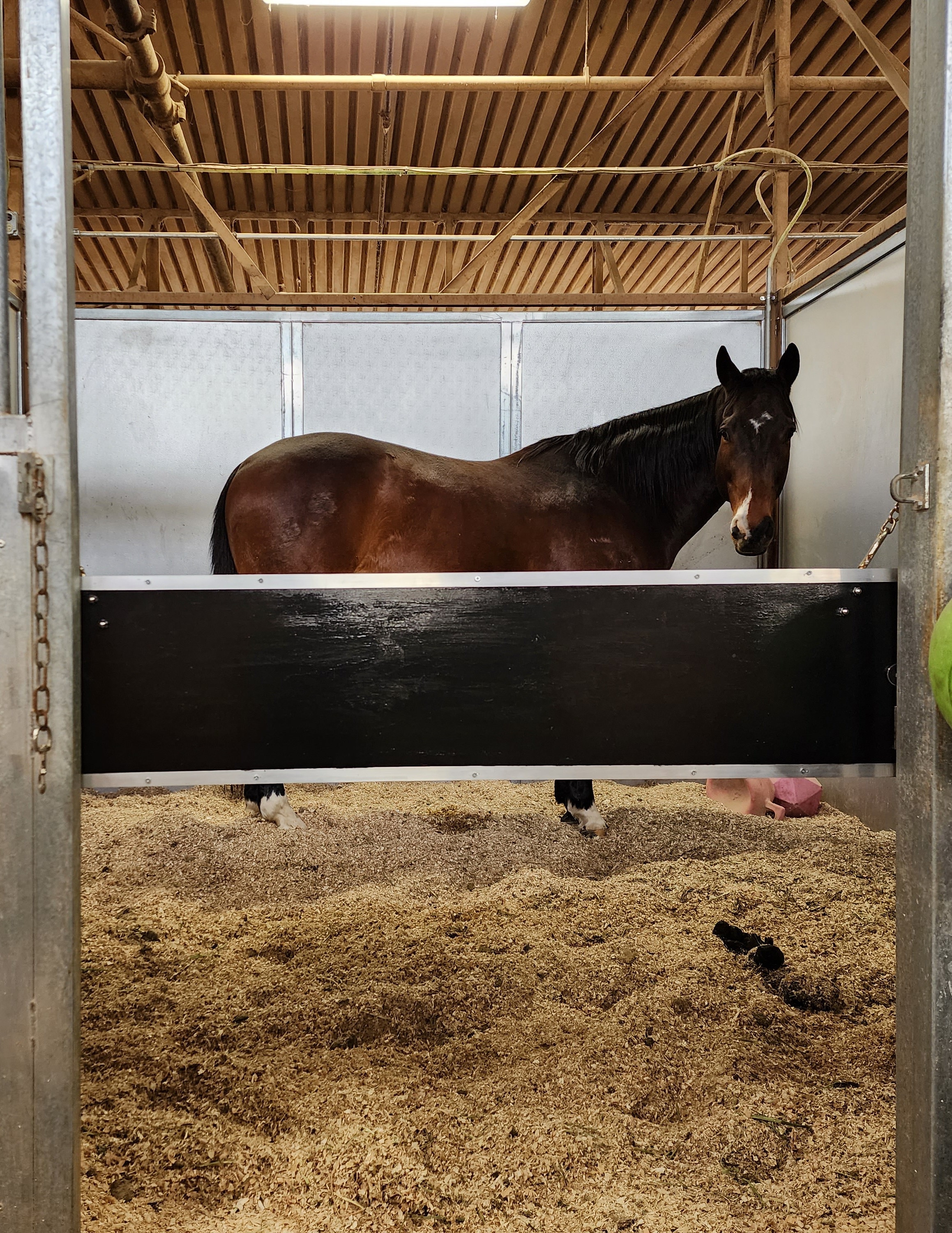 Horse Stall Guard No Permanent Hardware for Metal Stalls Sturdy Wood ...