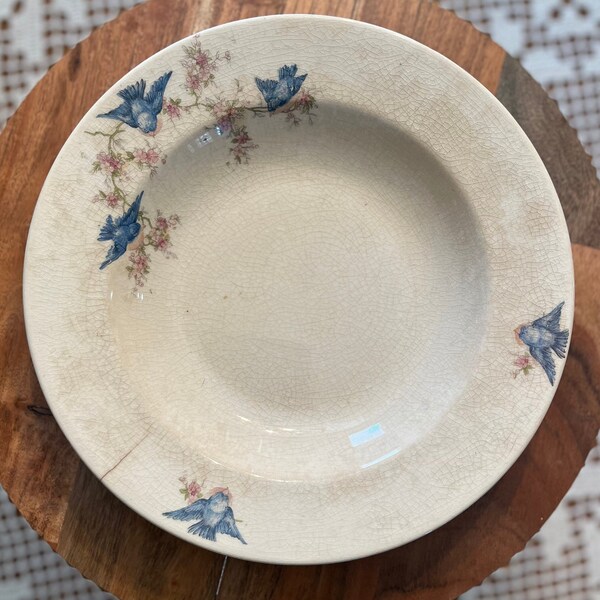 Vintage Bluebird - Etsy