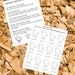 Chicken Egg Hatching Activity Journal for Kids - Etsy