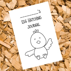 Chicken Egg Hatching Activity Journal for Kids - Etsy