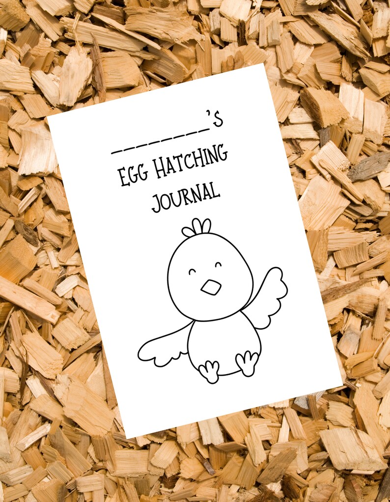 Chicken Egg Hatching Activity Journal for Kids - Etsy