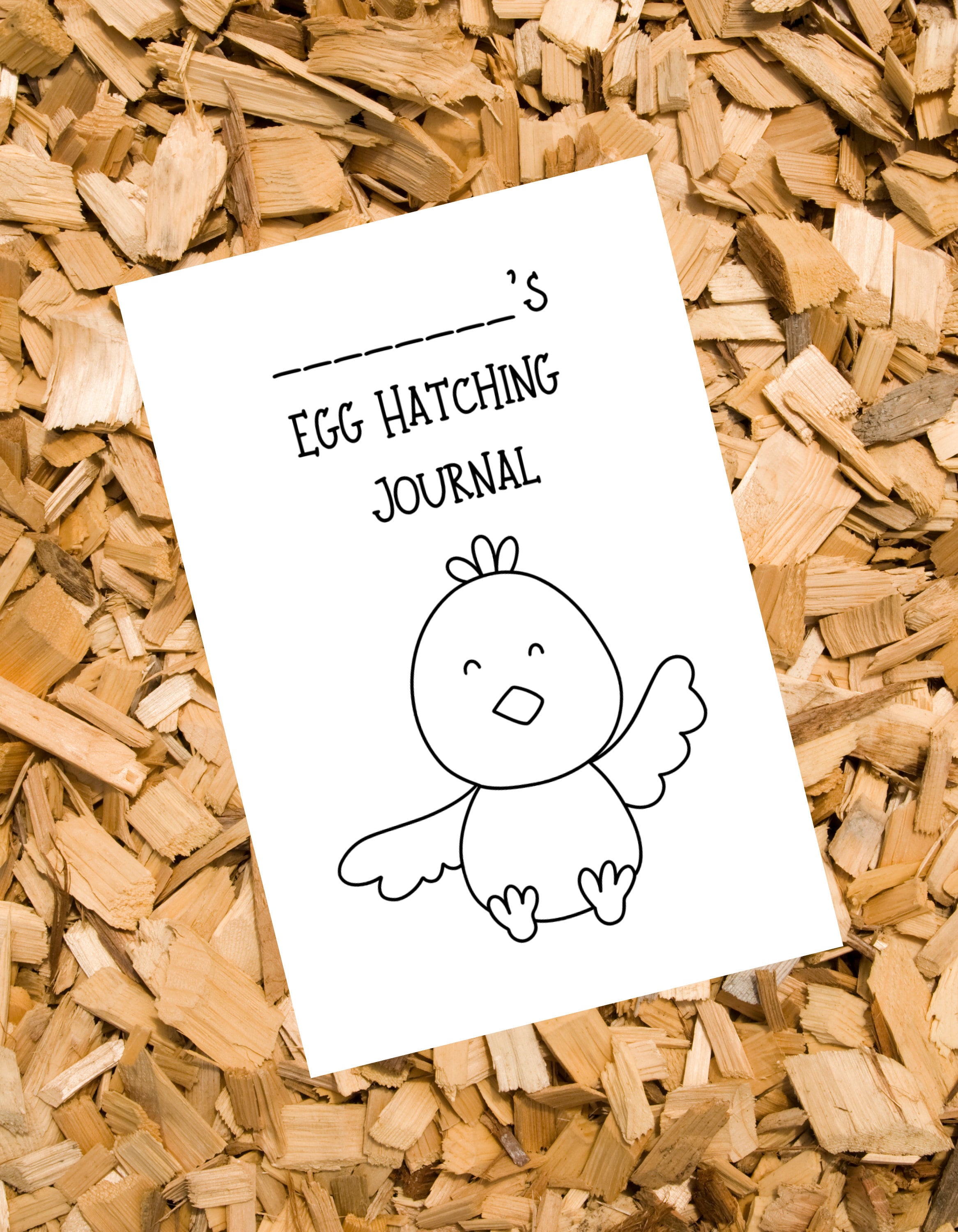 Chicken Egg Hatching Activity Journal for Kids - Etsy