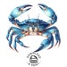 Blue Crab Png, Clip Art Png, Ocean Lover, Crab Shirt, Summer Png ...