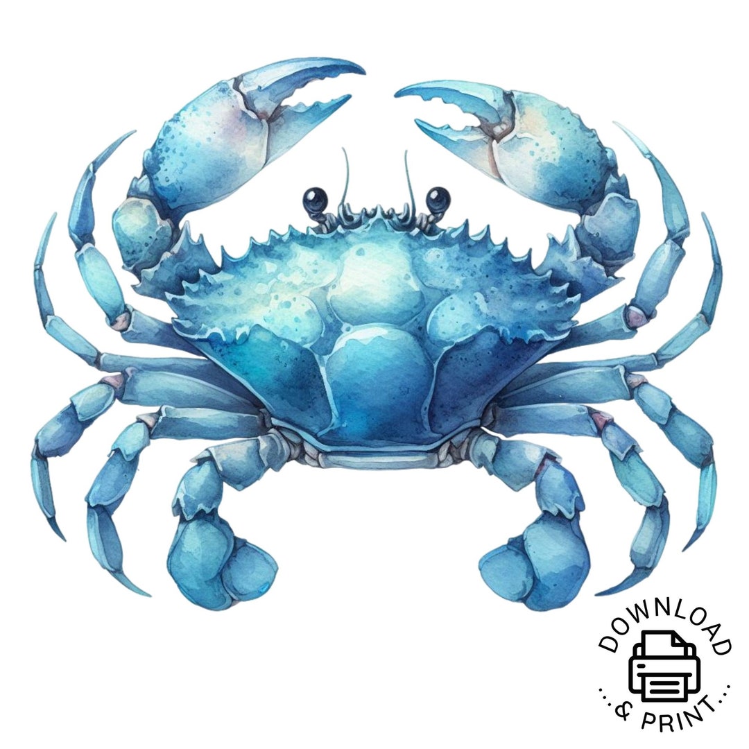 Blue Crab Png, Clip Art Png, Ocean Lover, Crab Shirt, Summer Png ...
