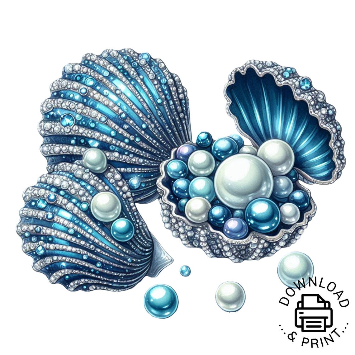 Blue Scallop Shell Clipart, Watercolor Scallop Shell Clipart PNG, Blue Scallop Shell PNG ...