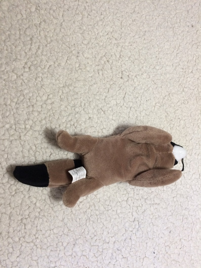 EXTREMELY RARE RINGO the Racoon Beanie Baby, Multiple Tag Errors, P.V.C ...