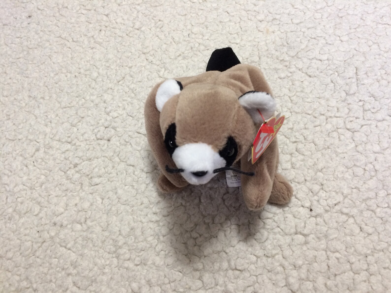 EXTREMELY RARE RINGO the Racoon Beanie Baby, Multiple Tag Errors, P.V.C ...