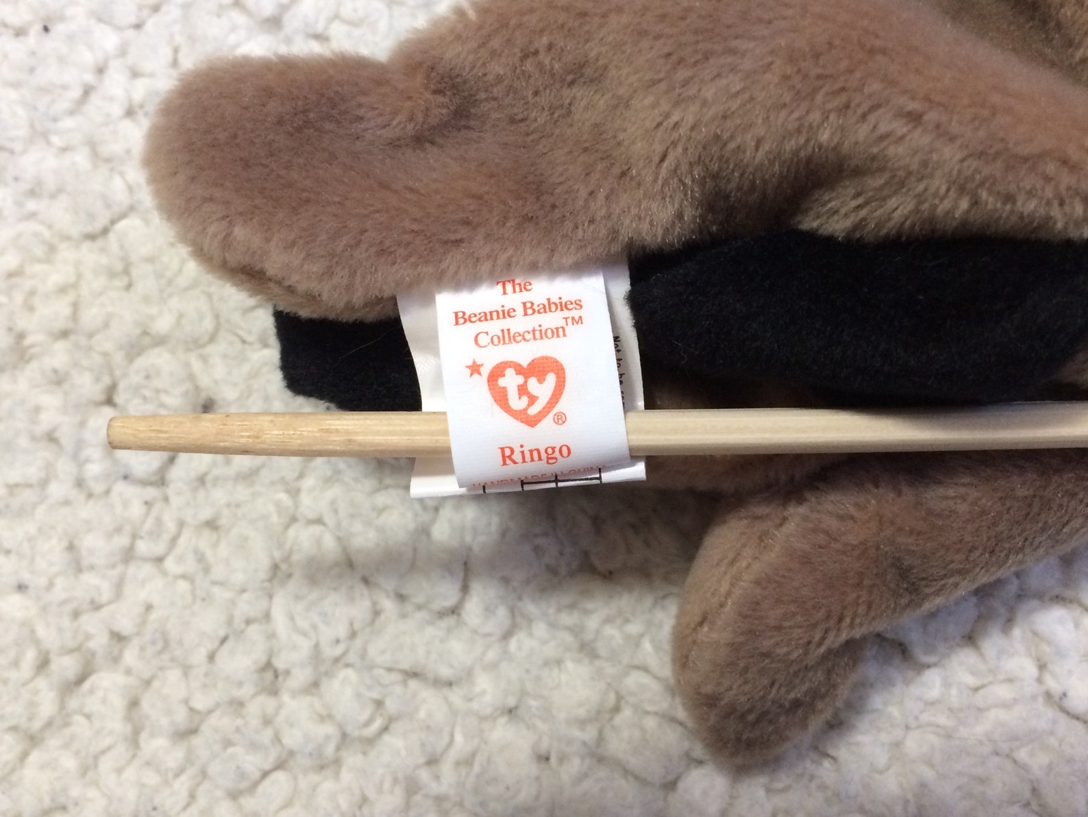 EXTREMELY RARE RINGO the Racoon Beanie Baby, Multiple Tag Errors, P.V.C ...