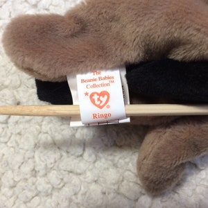 EXTREMELY RARE RINGO the Racoon Beanie Baby, Multiple Tag Errors, P.V.C ...
