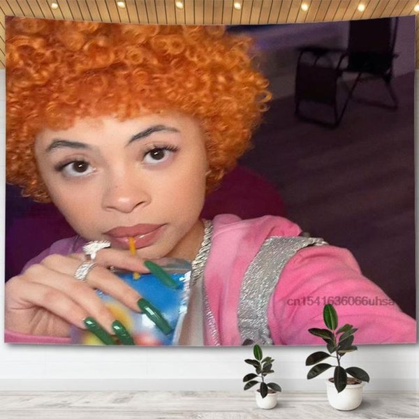 Ice Spice Flag - Etsy Australia