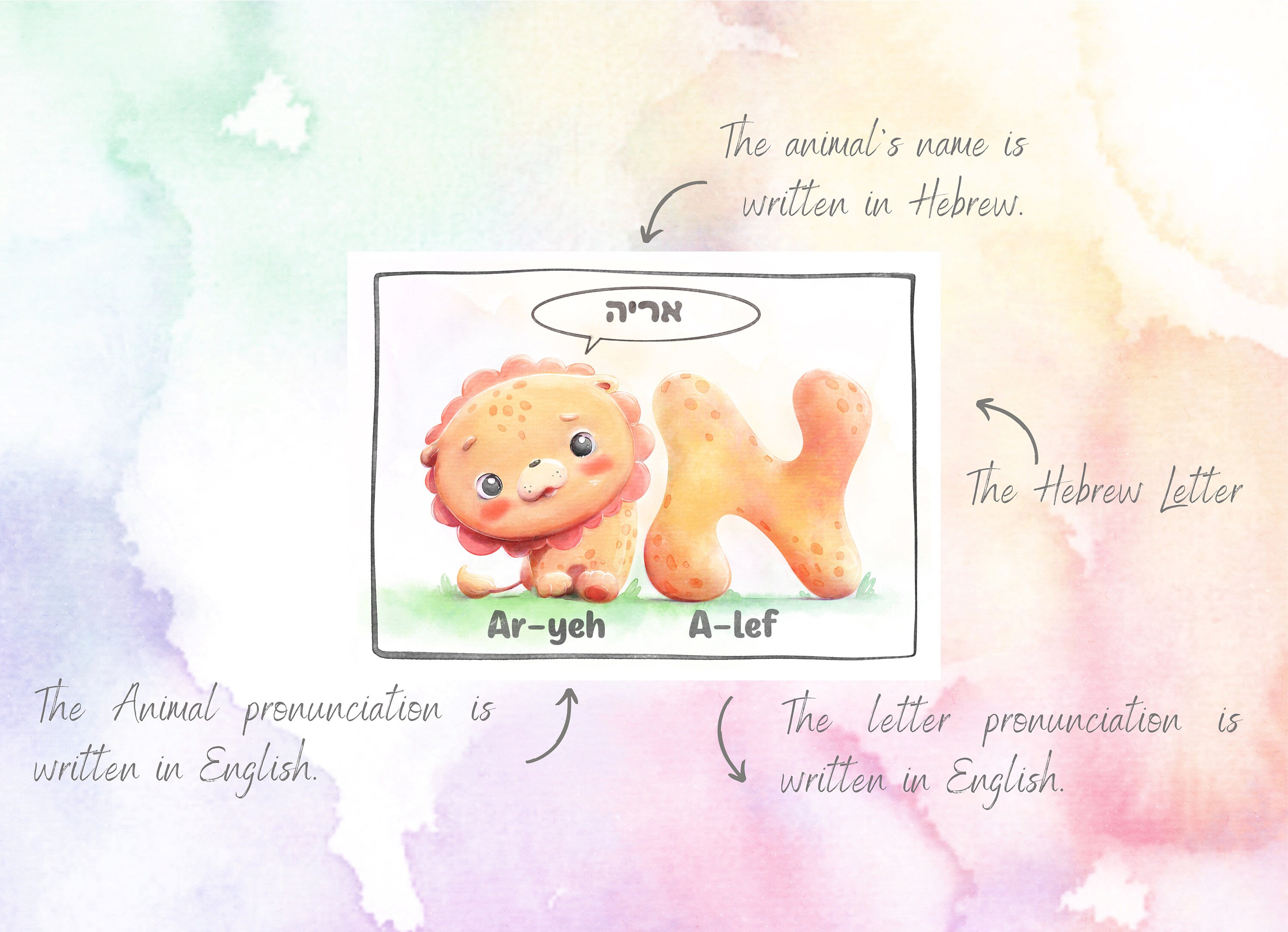 Hebrew Alphabet Flashcard for Kids Animals Educational Home - Etsy