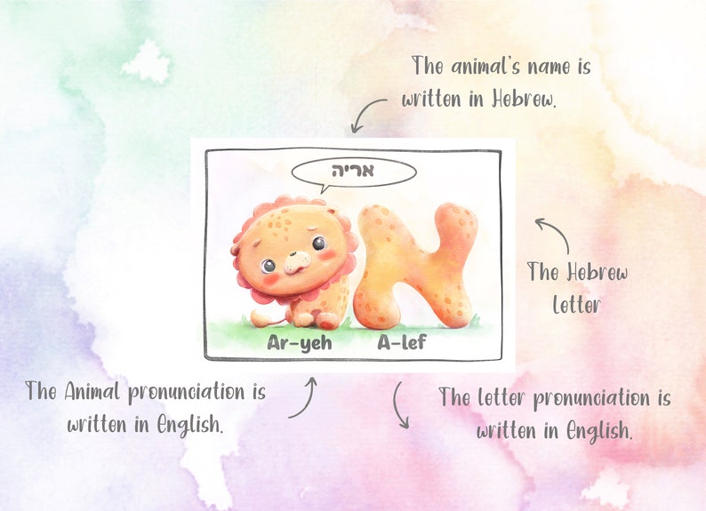 Hebrew Alphabet Flashcard for Kids, Animals, Educational, Home School ...