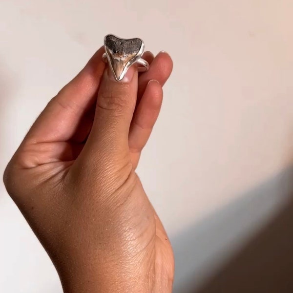 Shark Tooth Ring - Etsy