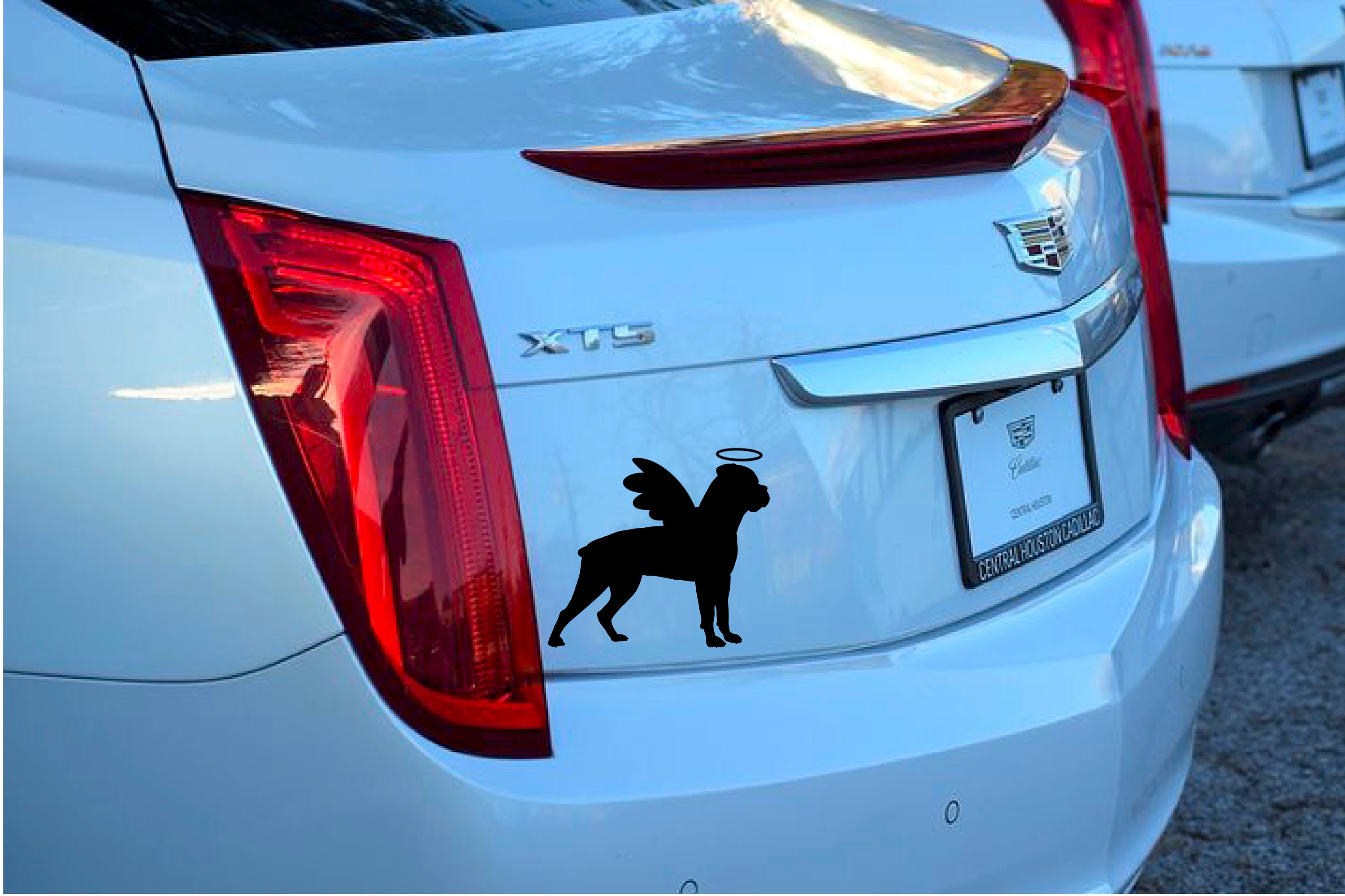 Boxer Pet Memorial PNG in Memory of Pet PNG Grief Clipart Memorial ...