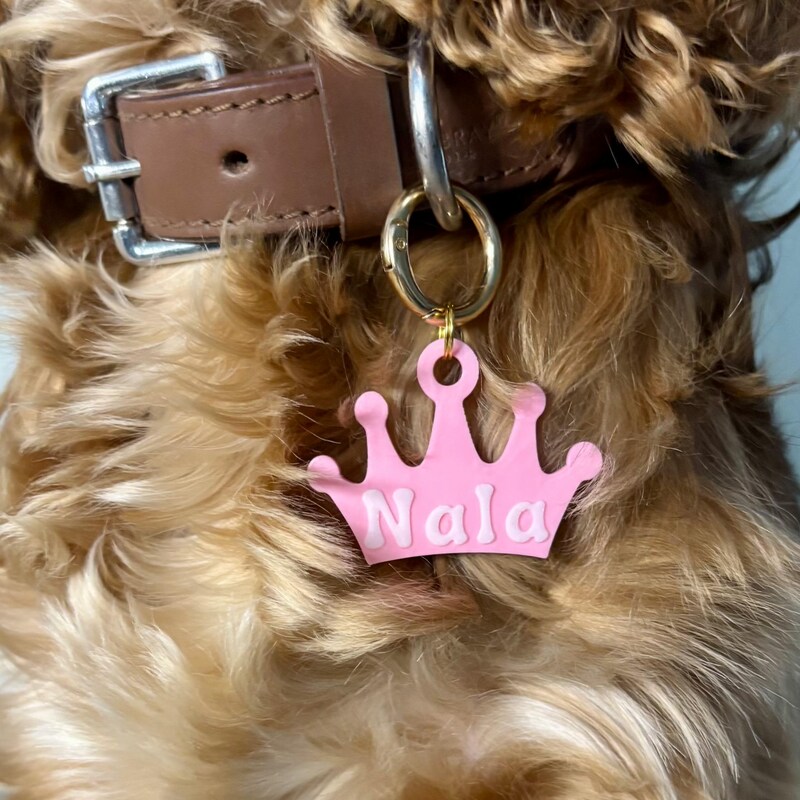 Princess Dog Tag - Etsy