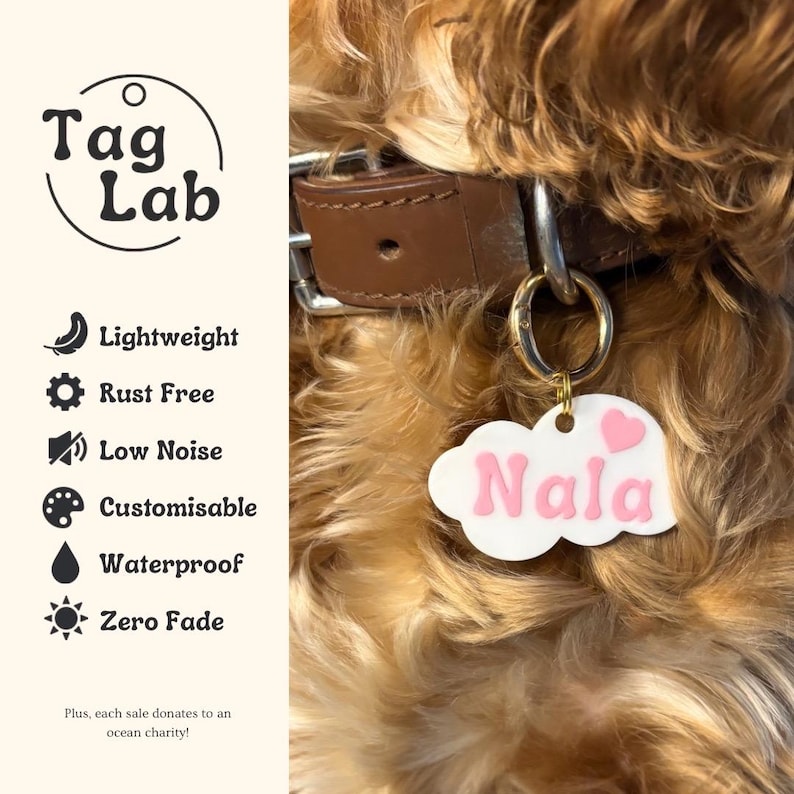 Coin - Personalised 3D Printed Dog Tag, Customisable, Sustainable - Etsy