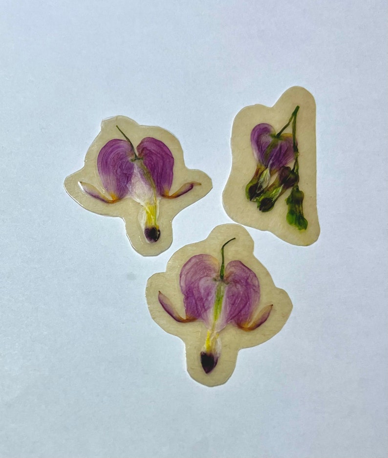 Bleeding Heart Stickers 10 Pack - Etsy