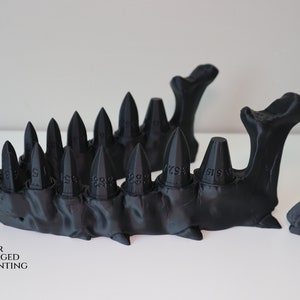 Dragon Teeth Dice Set, Dragon Jaw Bone, Dnd Fantasy Tabletop Role Play ...