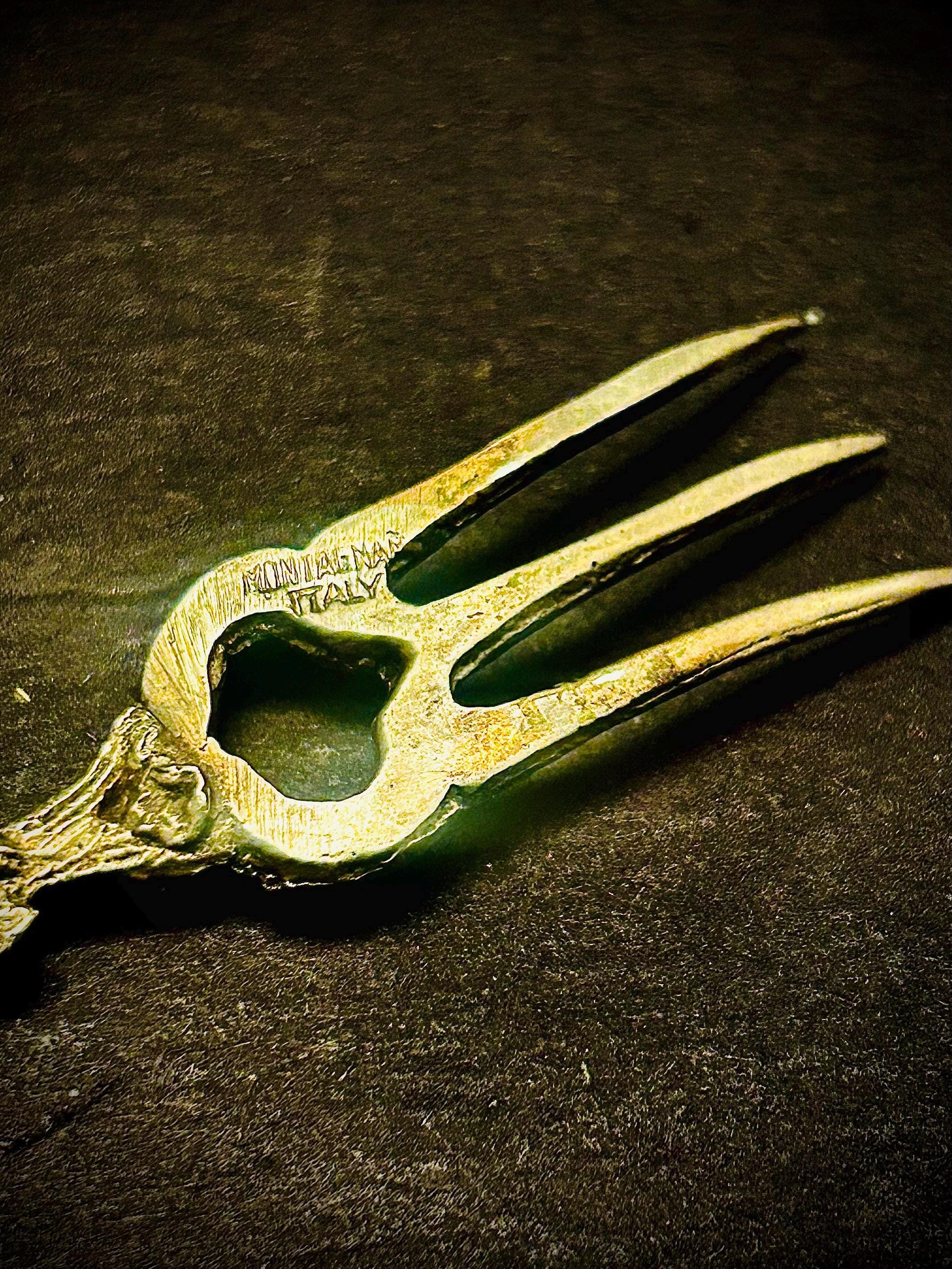 Firenze florence, Italy and Lion With Shield top on Silver Plate ...