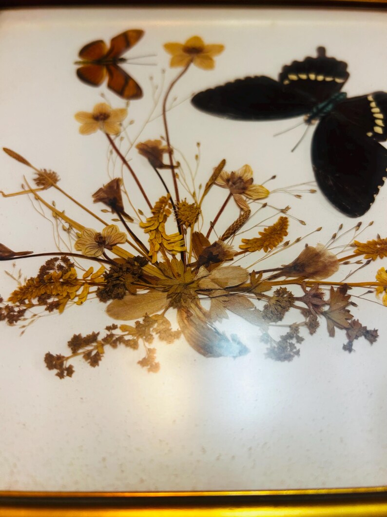 Vintage Pressed Flower and Butterfly Framed Art – Real Dried Botanical ...