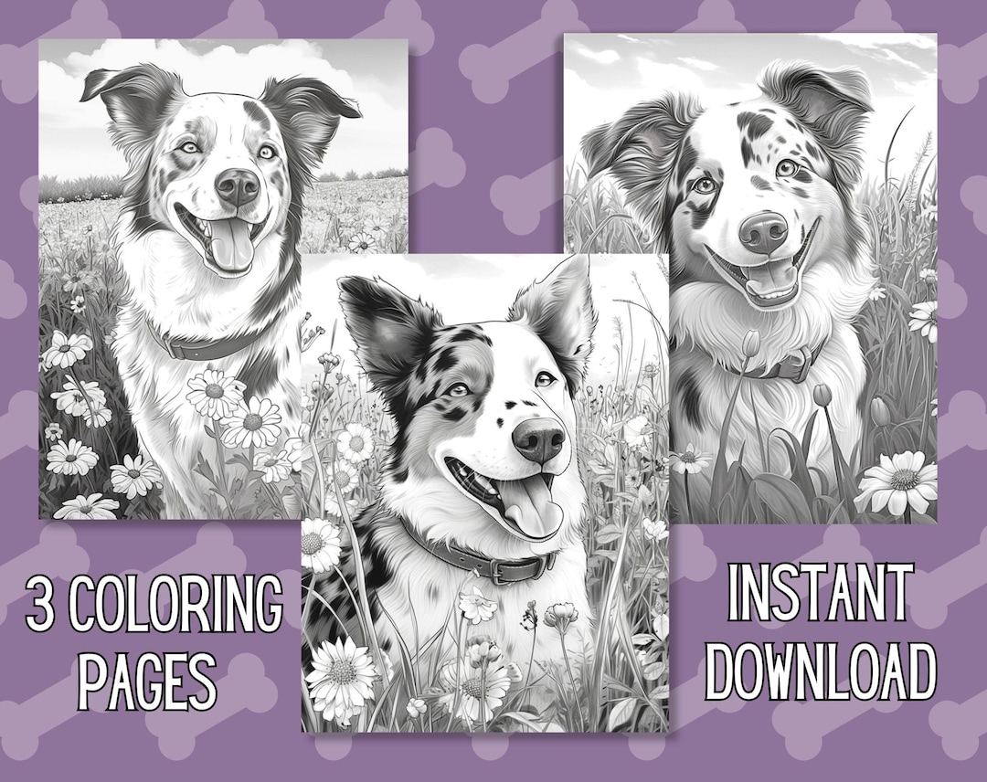 Dog Coloring Pages, 3 Australian Shepherd Coloring Pages, Dog Lovers ...