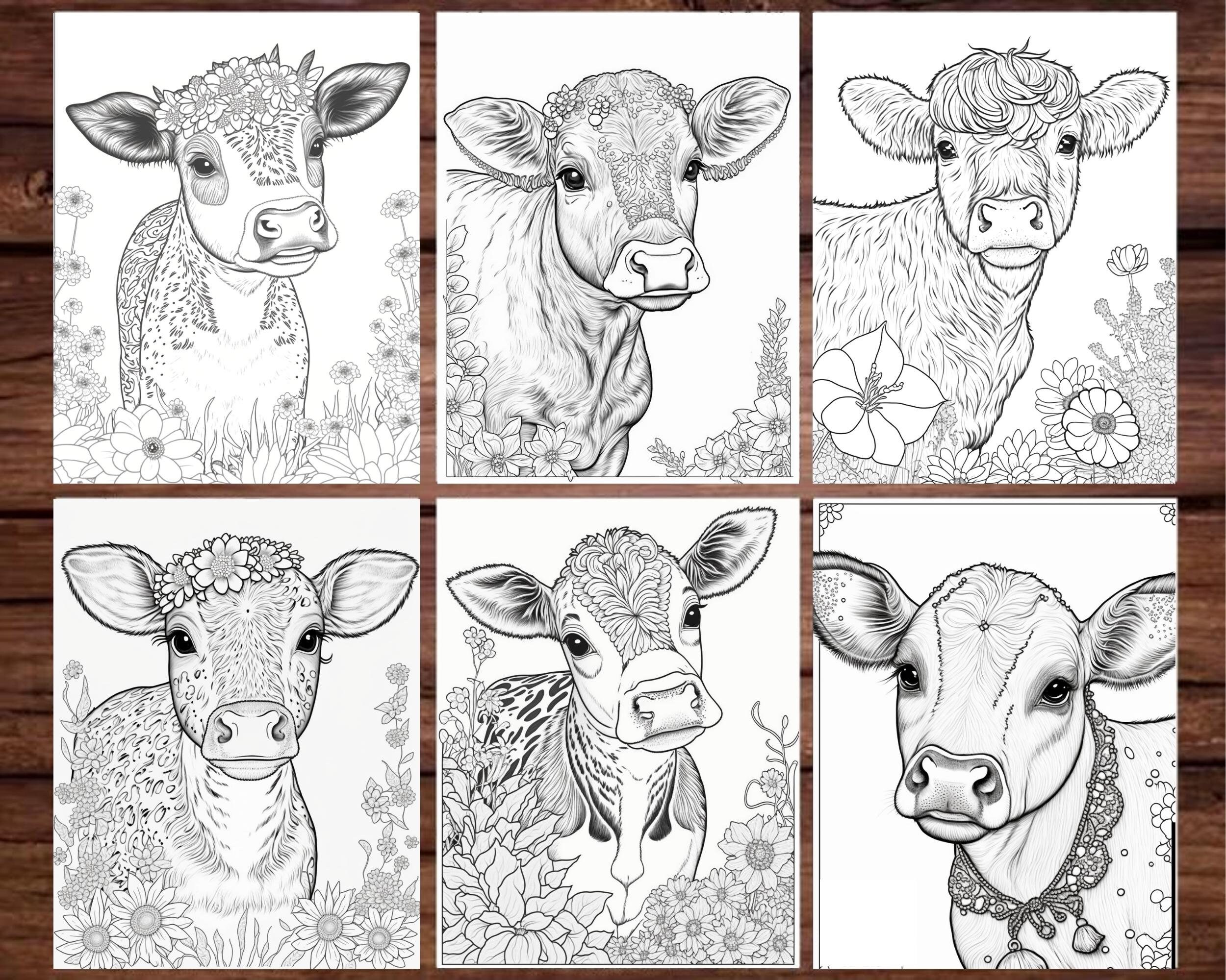 Cows Coloring Pages, 20 Cute Cows Coloring, Adults Kids Instant ...