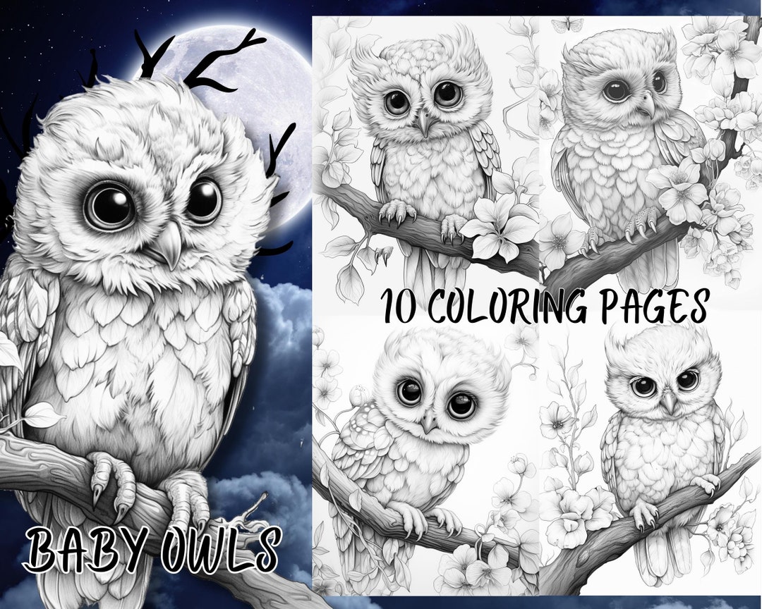 Baby Owls, 10 Baby Owl Coloring Pages, Grayscale Coloring Pages instant ...