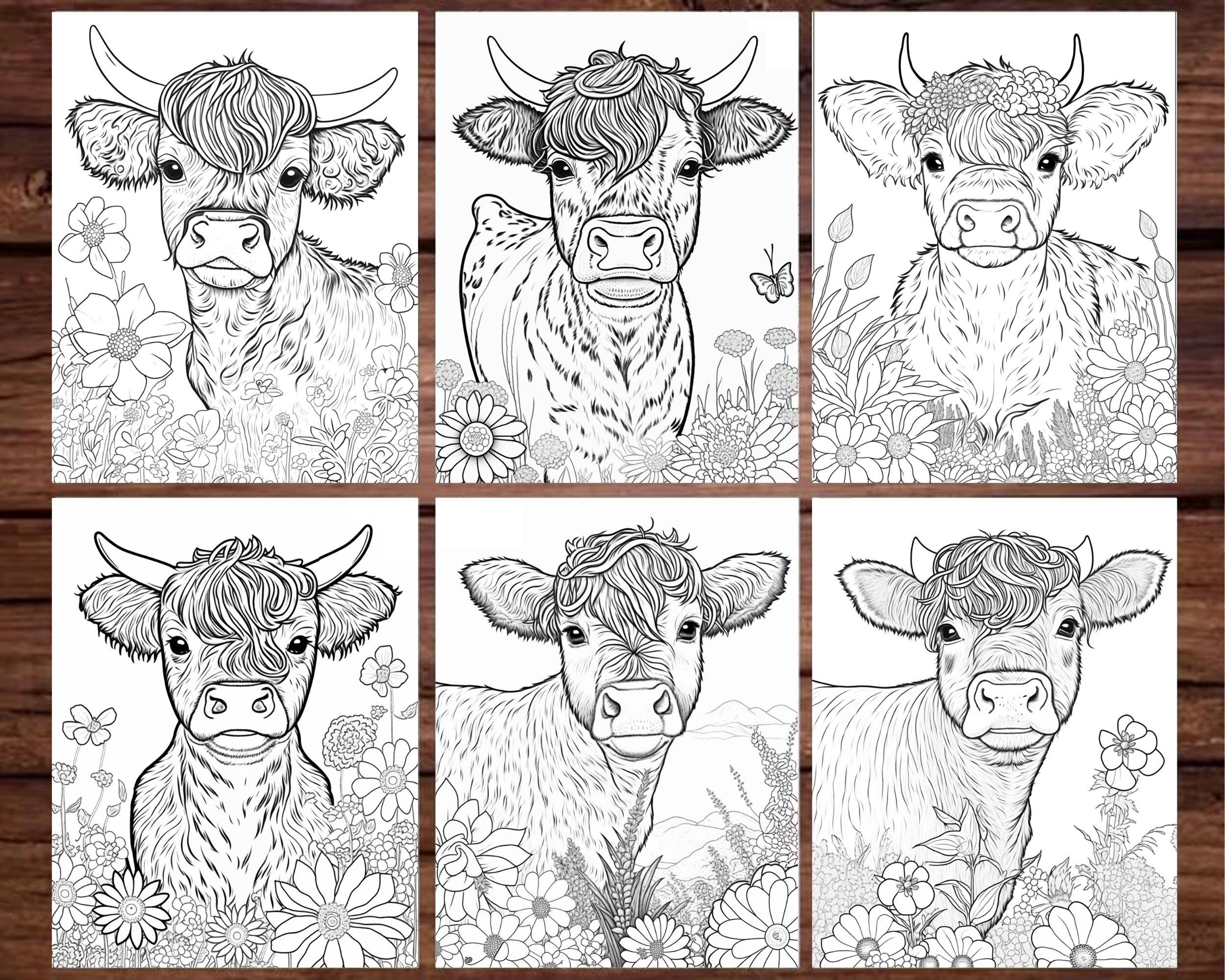 Cows Coloring Pages, 20 Cute Cows Coloring, Adults Kids Instant ...