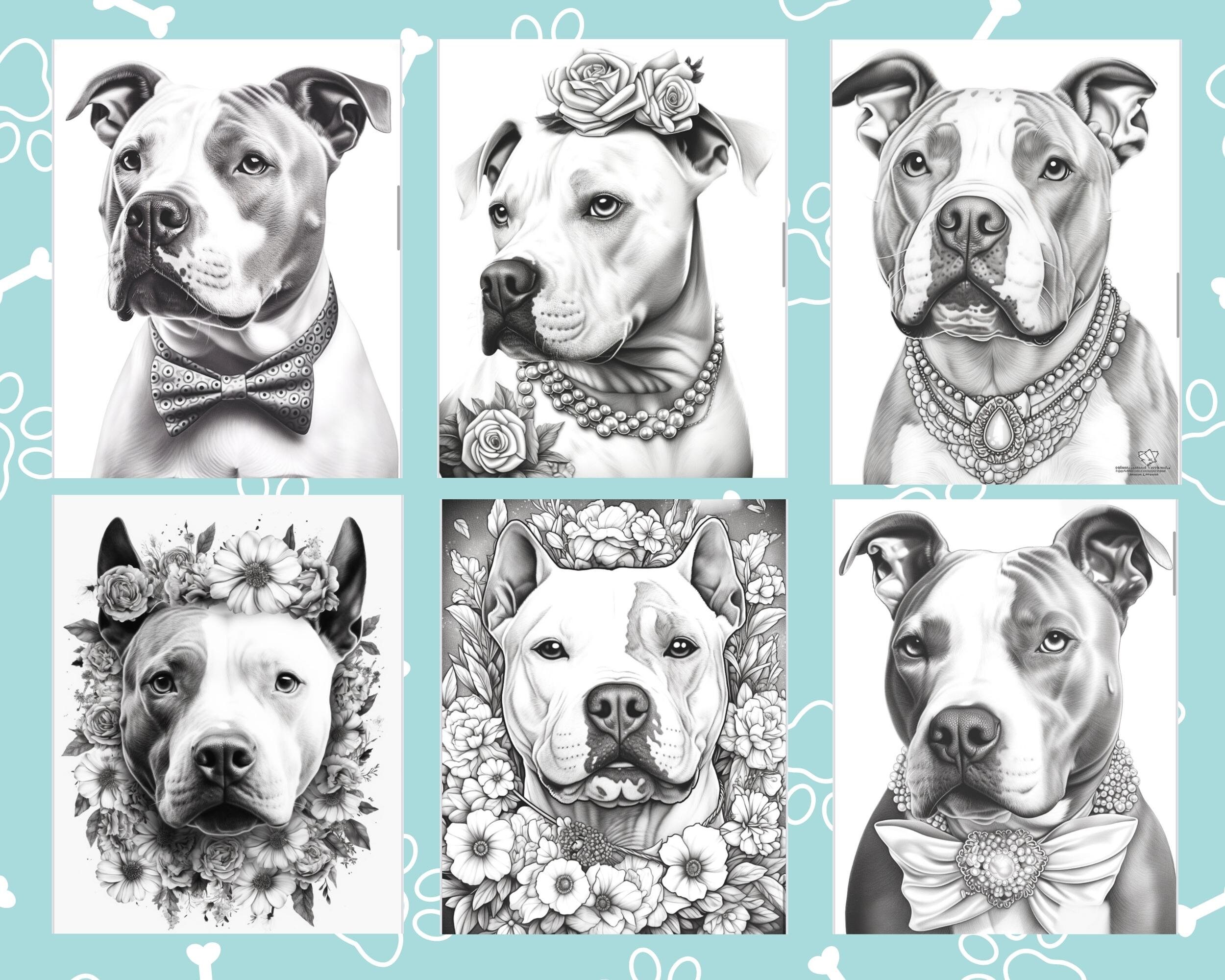 Dapper Dogs Pit Bull Coloring Pages, 15 Grayscale Coloring Pages, Dog ...
