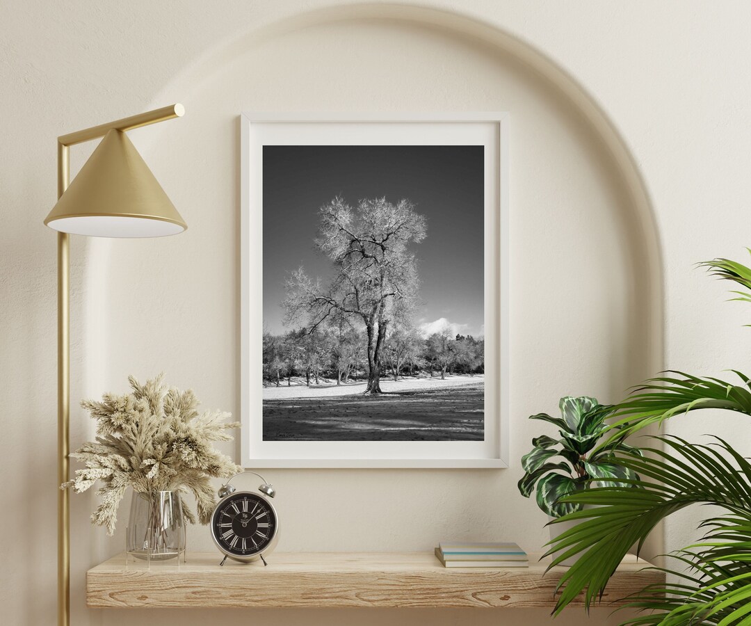 Tree Photo Print, Minimalist Photo, Tree in Winter, Tree Art, Tree ...