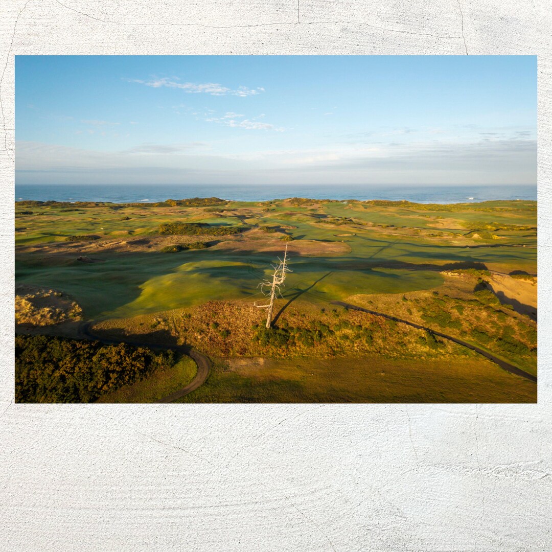 Old Macdonald Golf Course, Ghost Tree, Bandon Dunes - Fine Art Golf ...